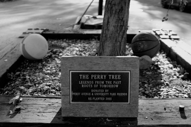 ¿A dónde se fueron los sesenta, Perry Lane? - Jot Down Cultural Magazine