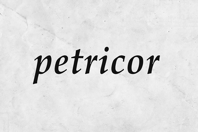 Petricor, arrebol, yambo... ¿conoces el significado de estas palabras ...