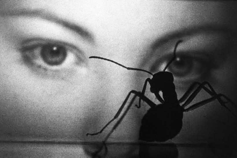 'Sucesos en la cuarta fase': Better call Saul, y no solo para los ...