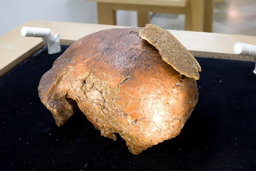 Orce: piedras que se asemejan a huesos - Jot Down Cultural Magazine